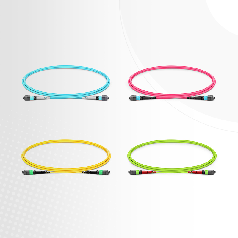 12F MTP®/MPO OM4 Type B Jumper 2m for 40G/100G Cabling - FS.com