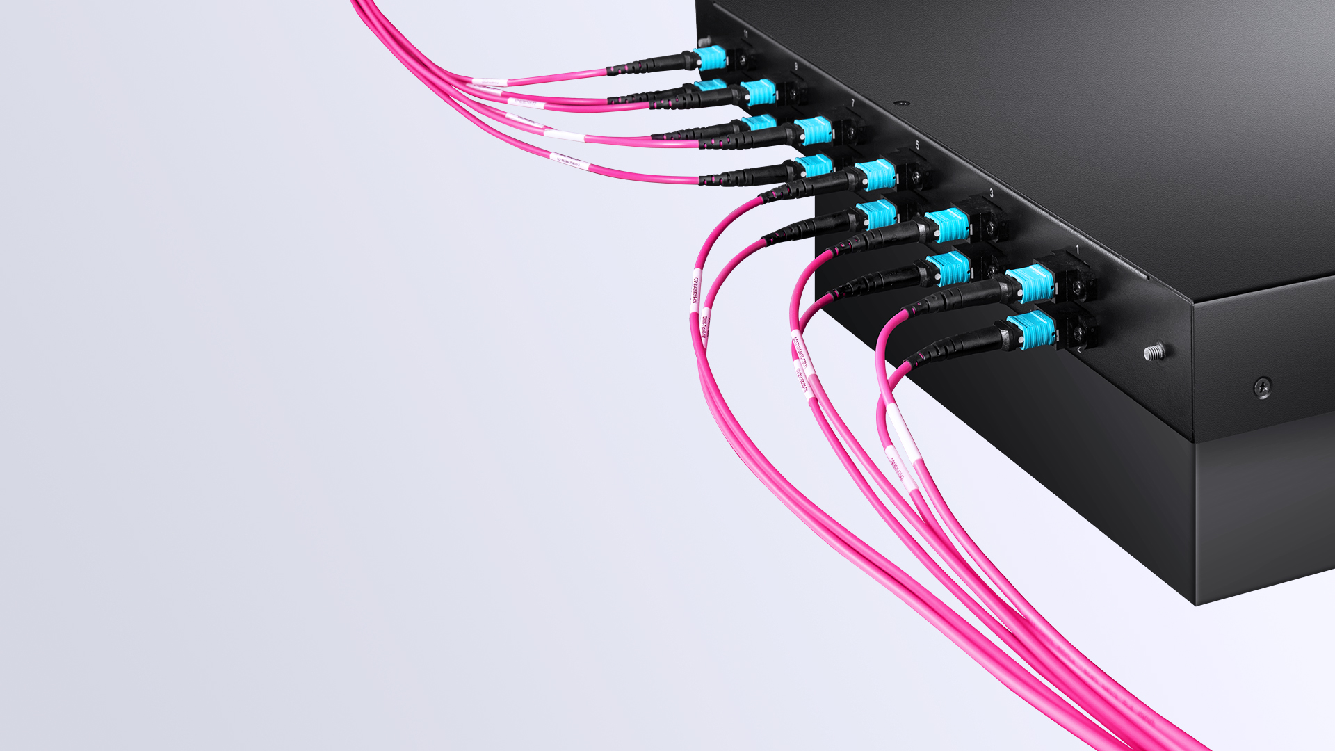 20m (66ft) MTP®-12 (Female) to MTP®-12 (Female) OM4 Multimode Elite ...