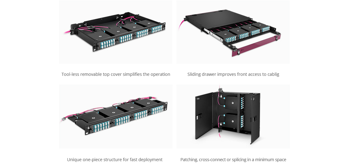 FHD 2 x MTP®-12 Cassette, 24 Fibers OM4 Multimode, Universal Polarity ...