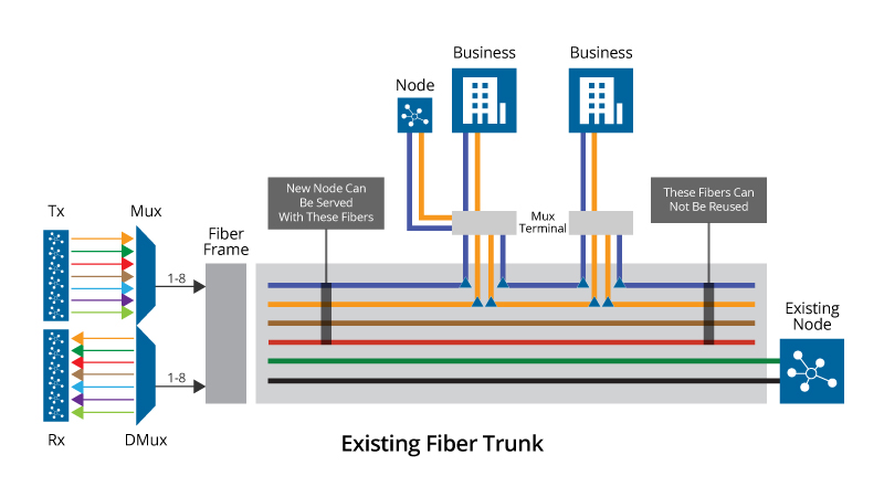 Three Most Common Fiber-to-the-Business Architectures You Must Know