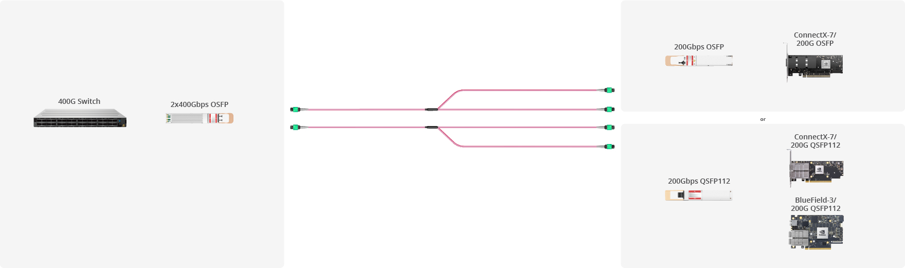 FS 800G Transceivers and Cables Complete Guide