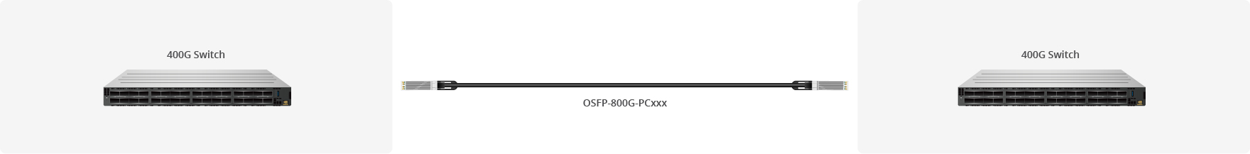 FS 800G Transceivers and Cables Complete Guide