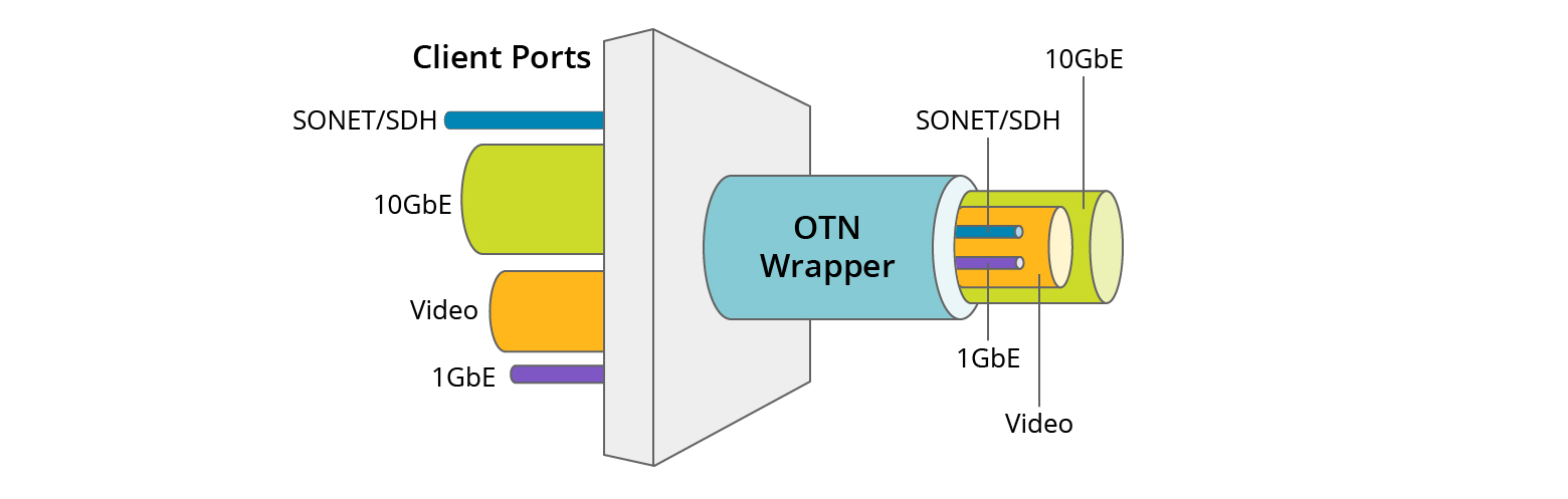 An Optical Transport Network(OTN) is a transmission network based on ...