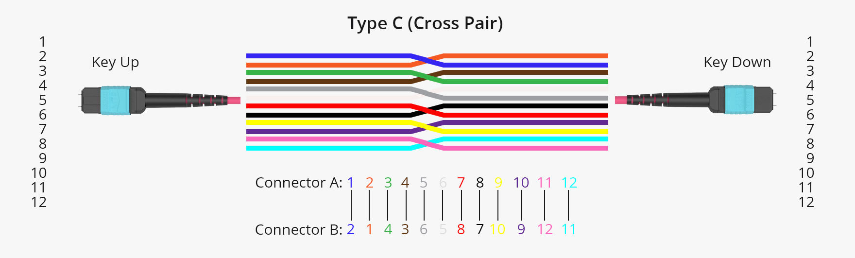 MTP®/MPO Cables Explained: Types, Applications, and Deployment Guide in ...