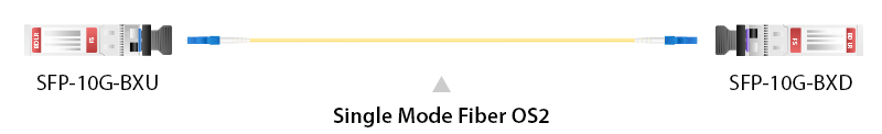 The Complete Guide to BiDi Transceiver