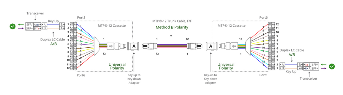 Simplifying Fiber Cabling with FS's Universal Polarity Products