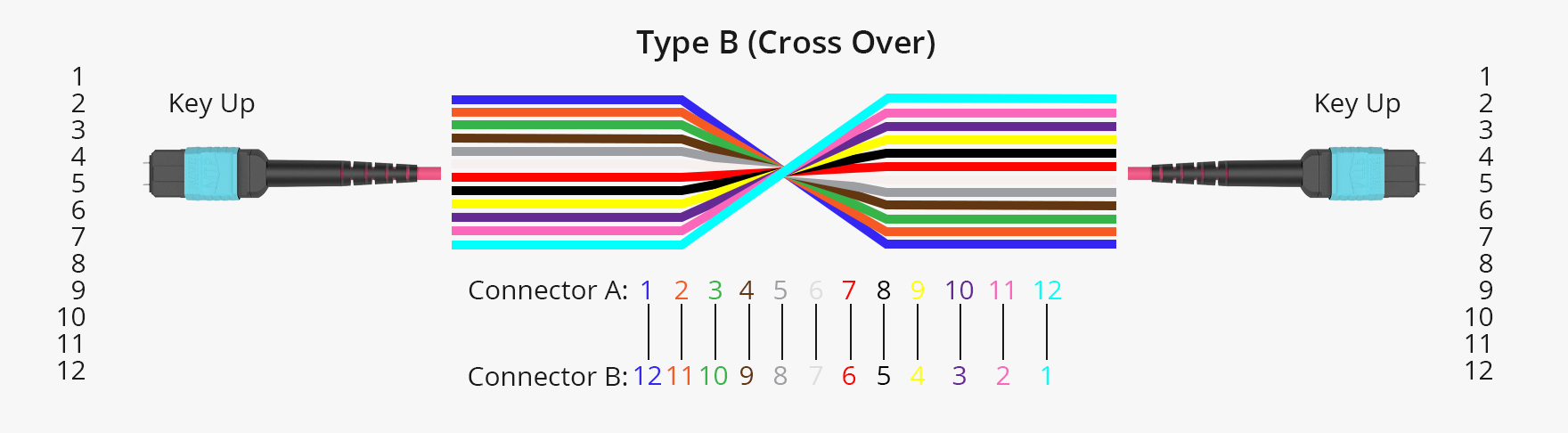 MTP®/MPO Cables Explained: Types, Applications, and Deployment Guide in ...