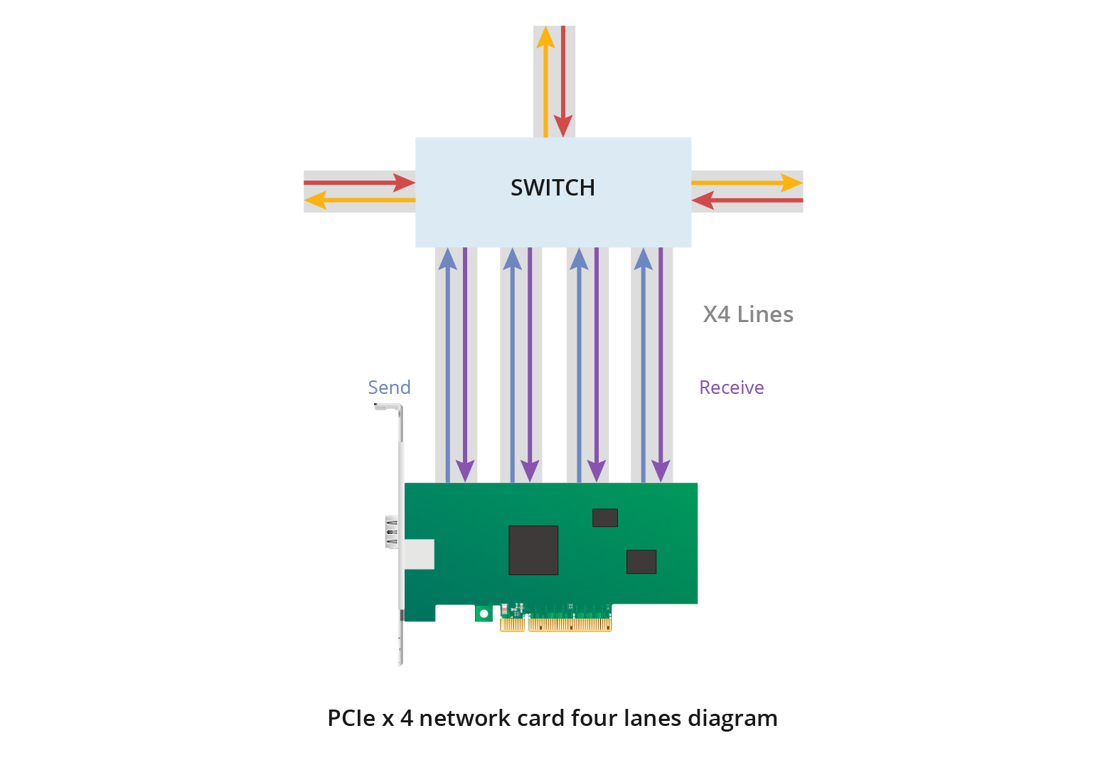 PCIe Network Card Guide