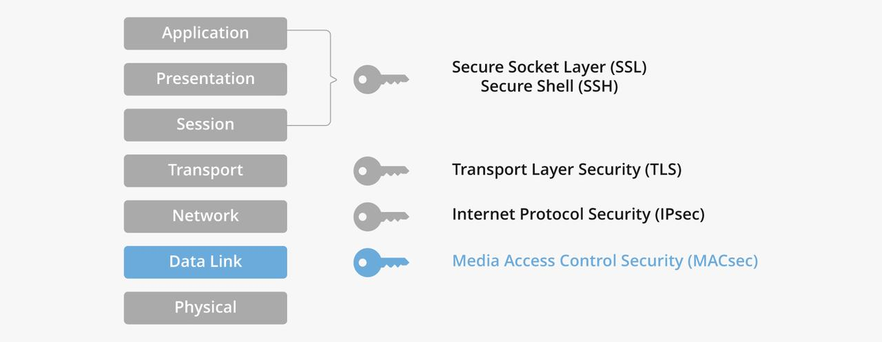 MACsec Explained: Security for Enterprise Networks