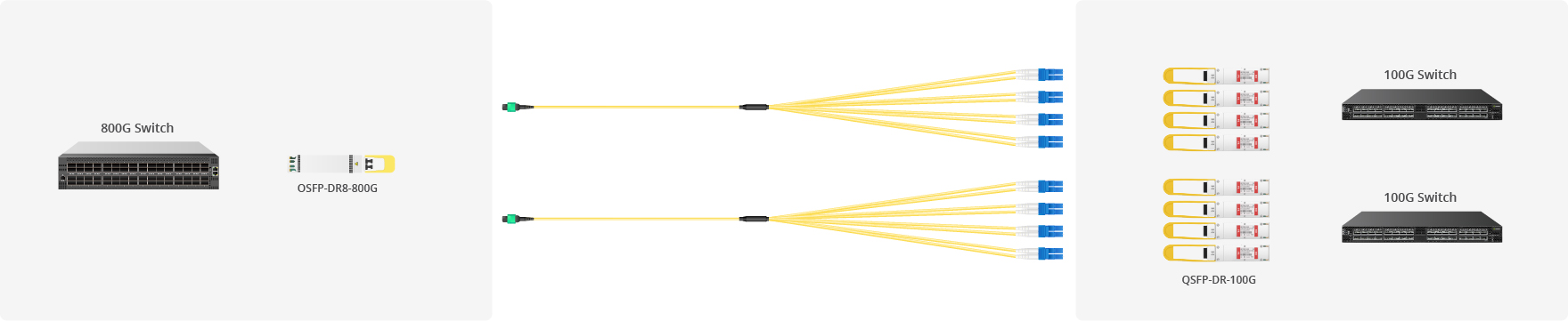 FS 800G Transceivers and Cables Complete Guide