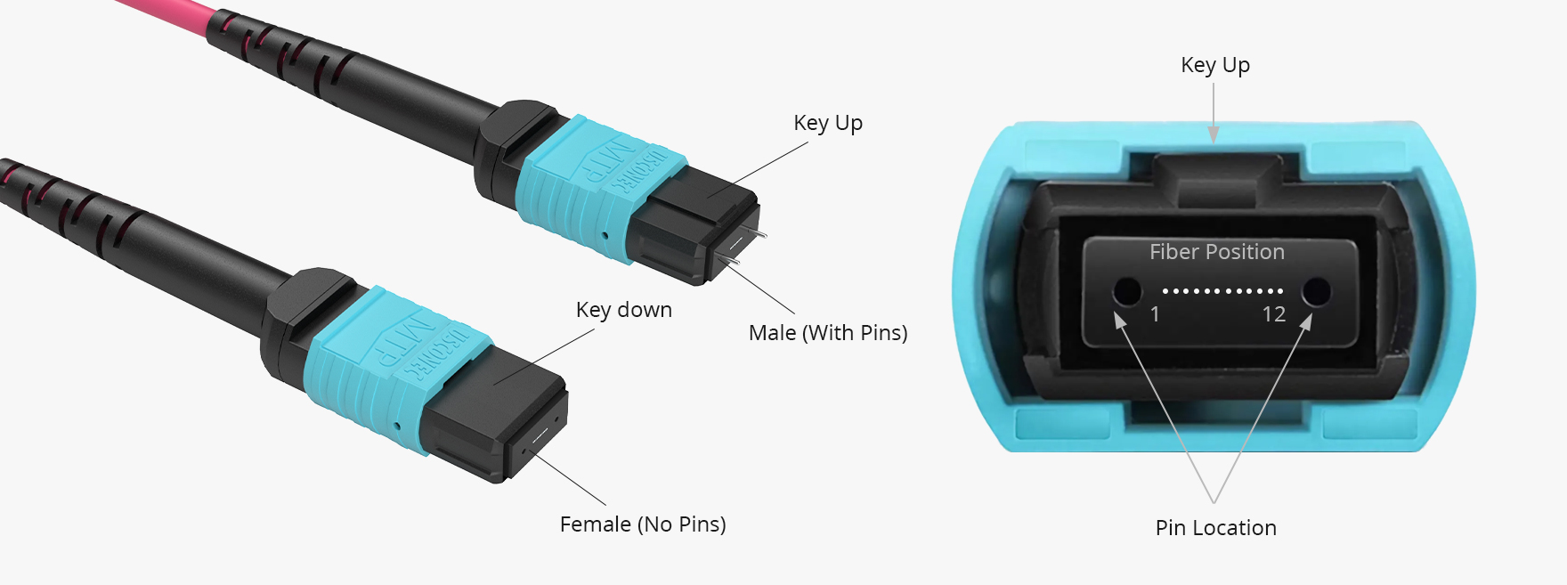MTP®/MPO Cables Explained: Types, Applications, and Deployment Guide in ...