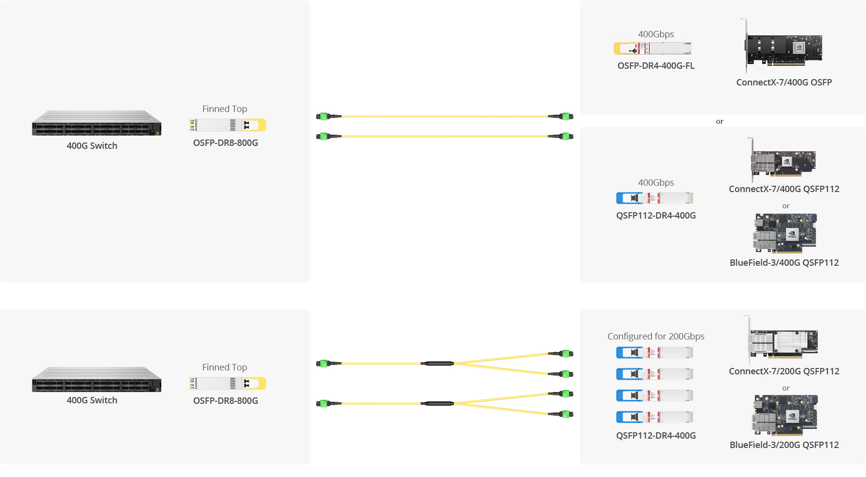A Comprehensive Guide to 800G DR4/DR8 Transceivers