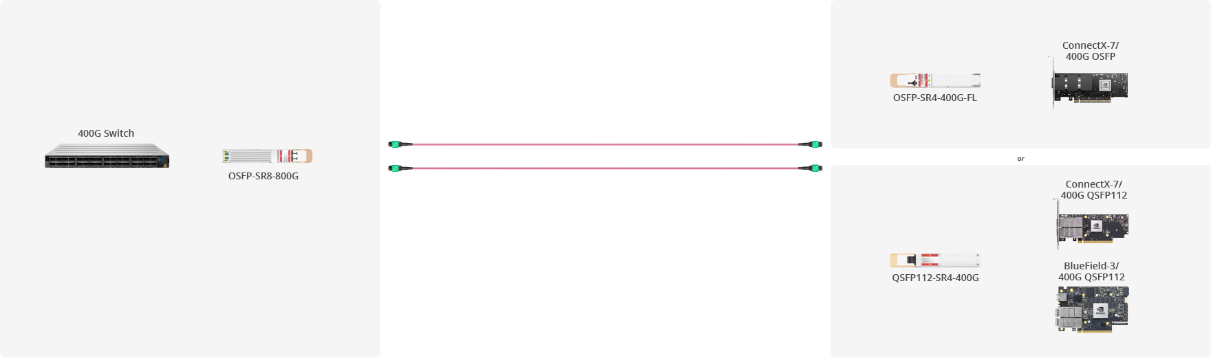 FS 800G Transceivers and Cables Complete Guide