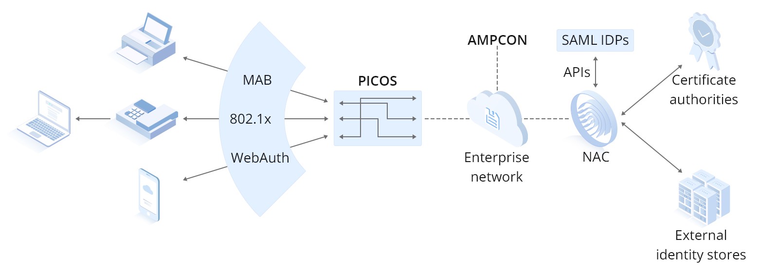 White-box Switches: Transforming Network Architecture
