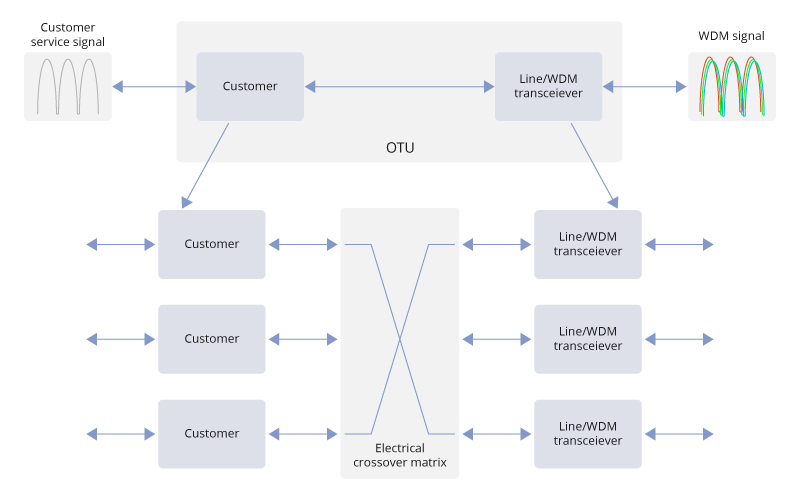Wdm Vs Otn Difference