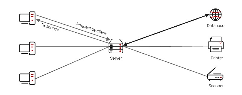 Client-Server Network: Understanding, Functions, and Services