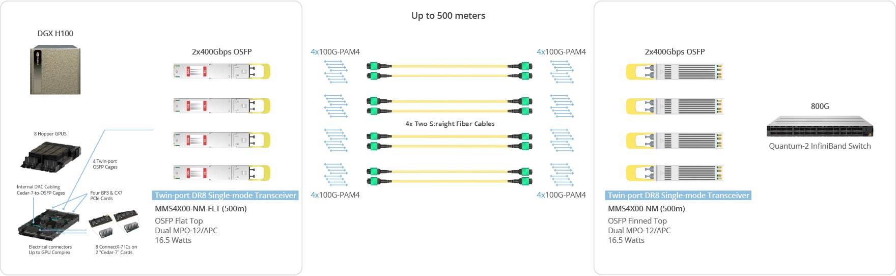 800G InfiniBand Transceivers Solution: 800G SR8 and DR8