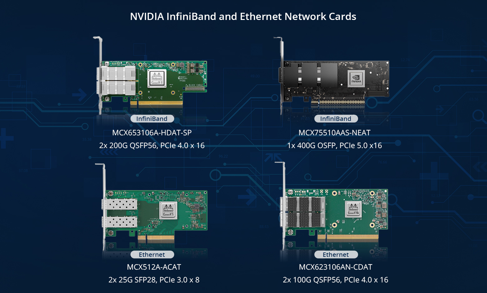 Enhancing Your Network Infrastructure with FS Server Network Cards