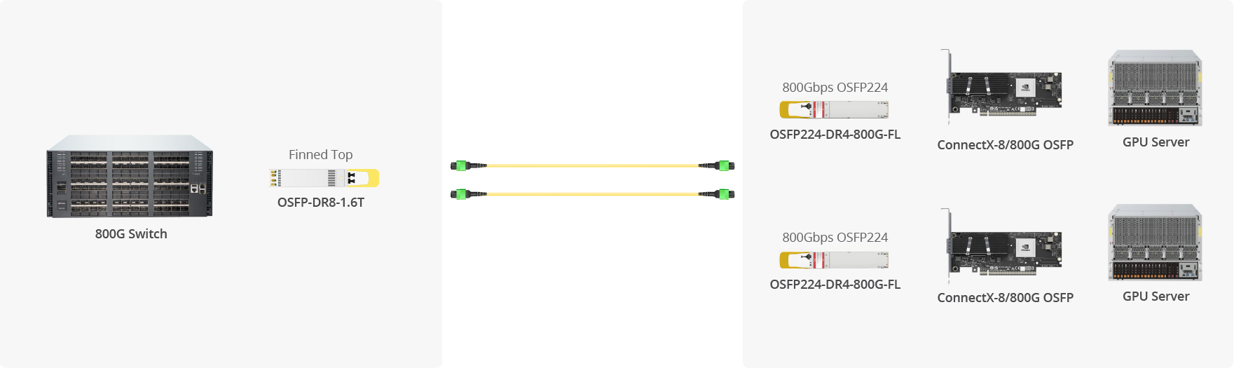 A Comprehensive Guide to 800G DR4/DR8 Transceivers