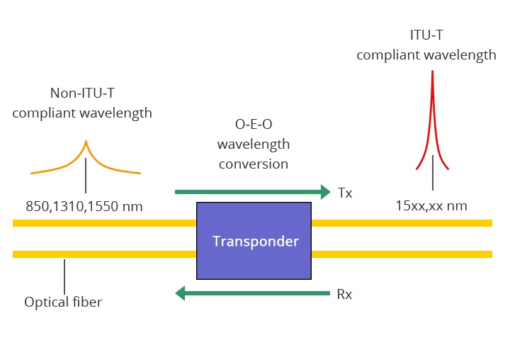 5 Basic Things You Need to Know About DWDM