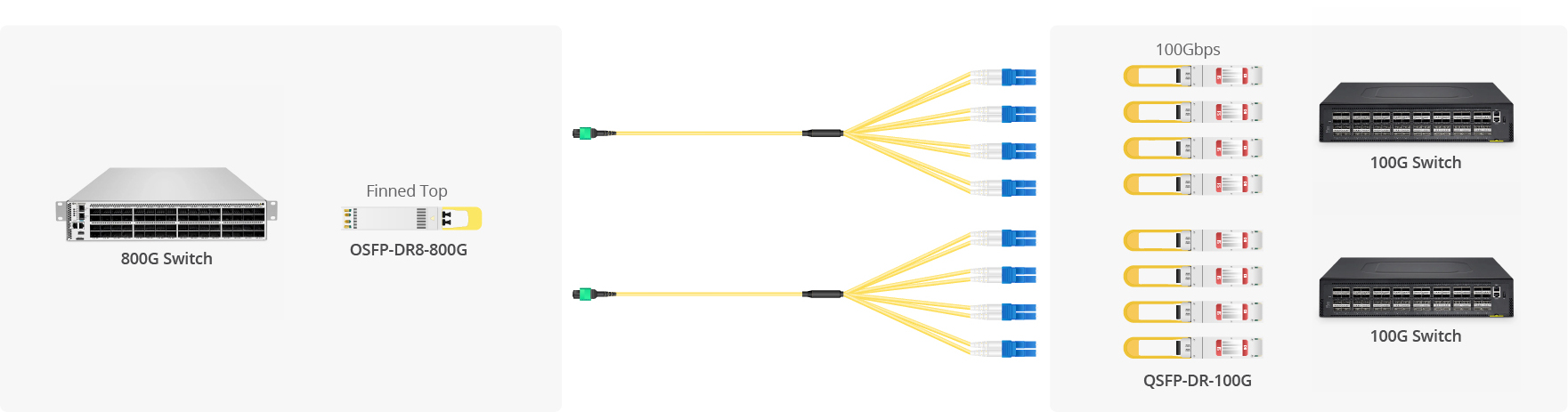 A Comprehensive Guide to 800G DR4/DR8 Transceivers