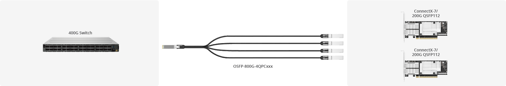 FS 800G Transceivers and Cables Complete Guide