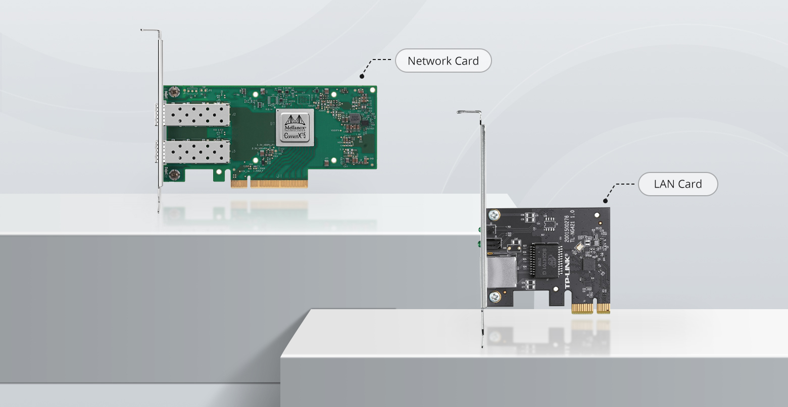 Network Card VS. LAN Card: Which One to Choose?