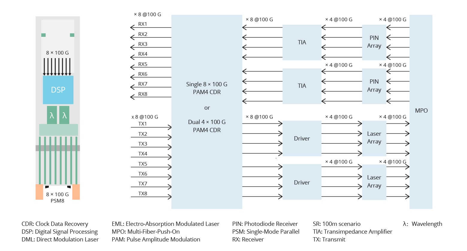Exploring FS 800G Transceivers: Your FAQs Answered