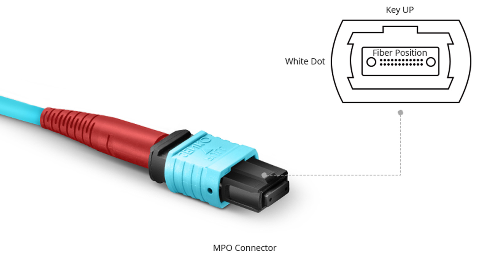 How Does Multimode Fiber Realize 40G/100G Ethernet Migration?