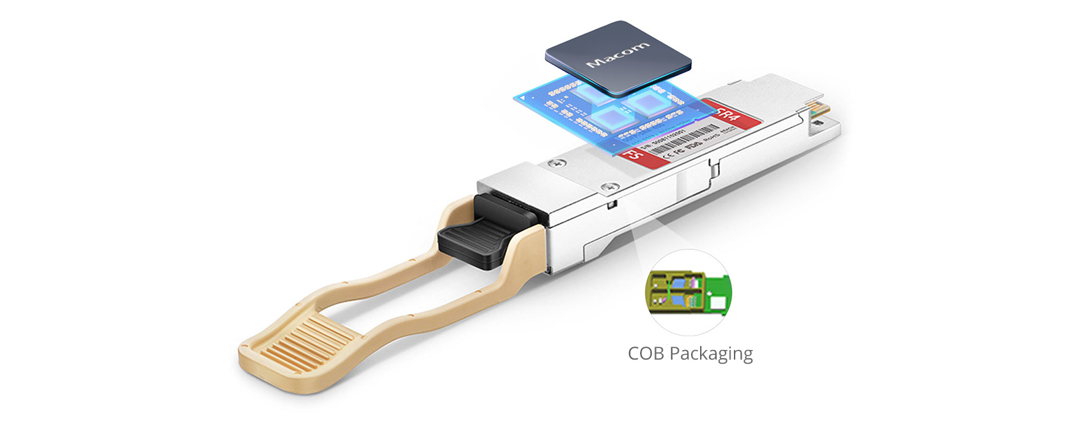 Why Are FS 40GBASE-SR4 Modules the Go-To Option for Short-Reach 40G ...
