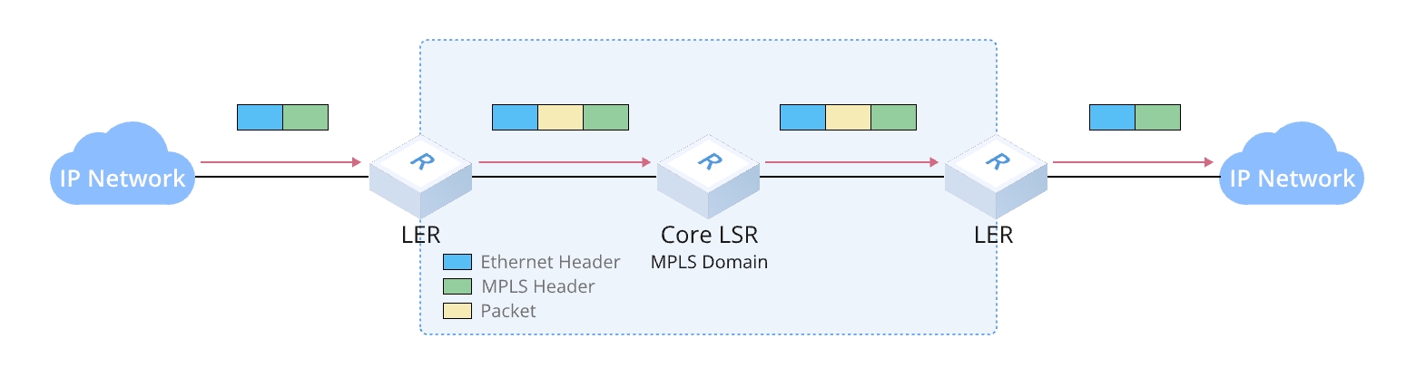 Unlocking the Power of BGP in MPLS Networks