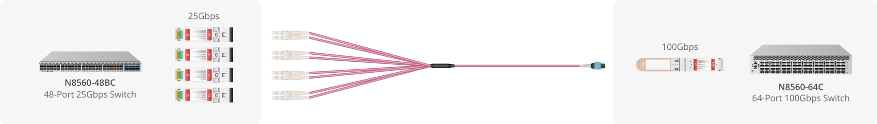 High-Density 100G Networking: Port Breakout on FS N8560-64C Switch
