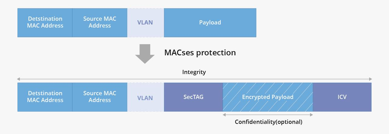 MACsec Explained: Security for Enterprise Networks