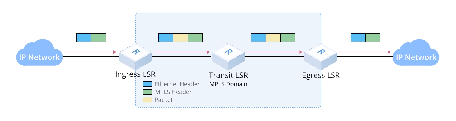 Unlocking the Power of BGP in MPLS Networks