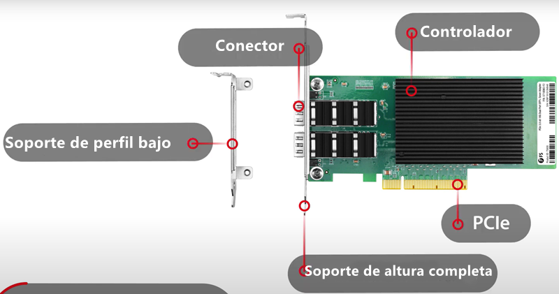 ¿Qué es tarjeta de red o NIC? Definición, función y tipos de NIC