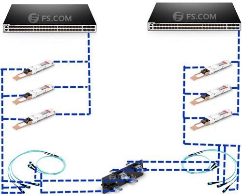 MTP/MPO Conversion Cable Wiki and Applications