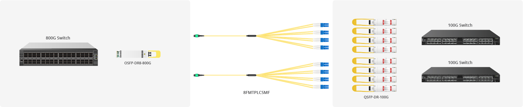 FS 800G Transceivers and Cables Complete Guide