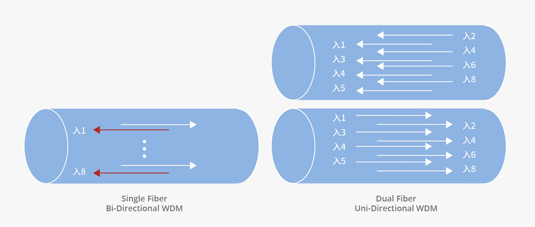WDM Basics: Understanding Wavelength Division Multiplexing Technology