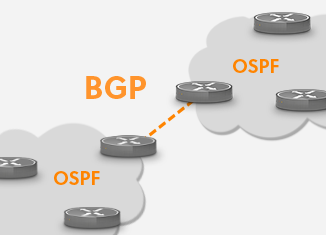 OSPF vs BGP: Which Routing Protocol to Use?