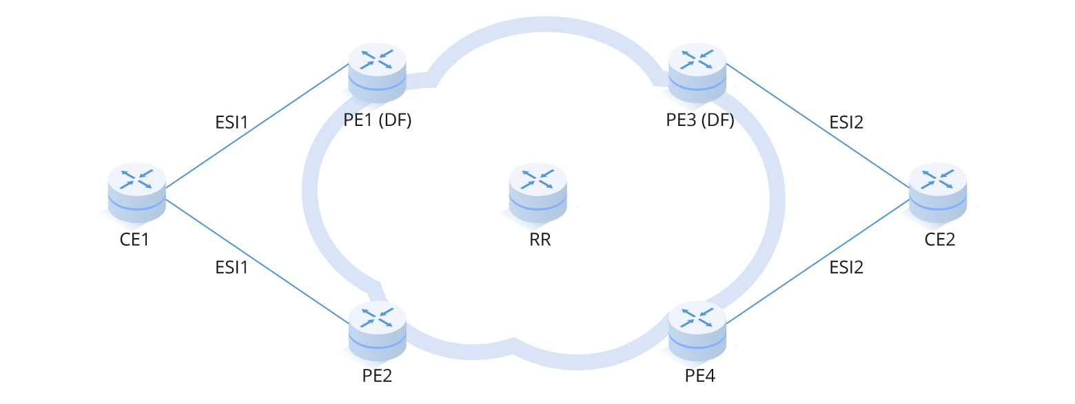 EVPN Network Topology