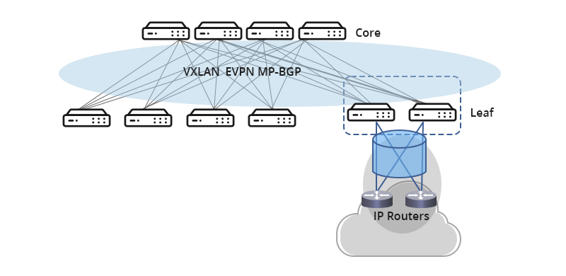 完全ガイド：企業ネットワークにおけるVXLAN-BGP-EVPN技術