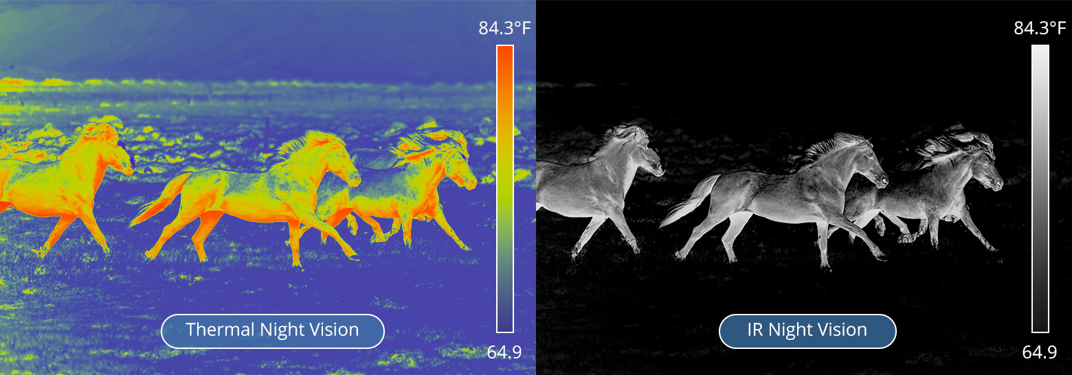 See the Unseen: Full Guide to Night Vision Security Cameras