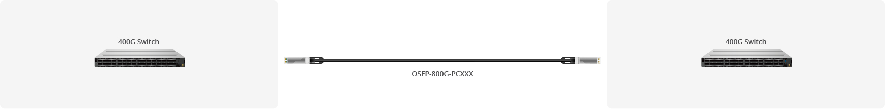 FS 800G Transceivers and Cables Complete Guide