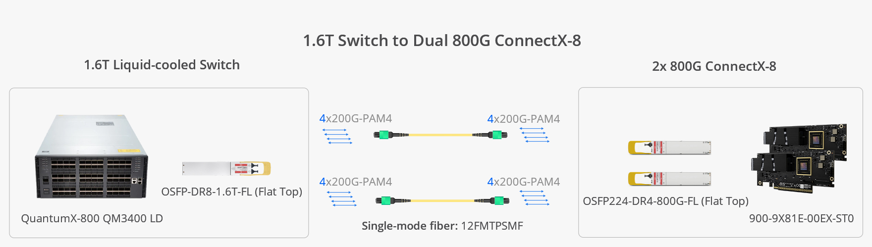 FS lanza la SuperNIC NVIDIA ConnectX-8 800G para IA a gran escala