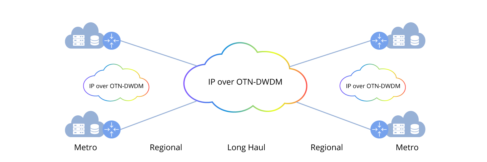 A Closer Look at IPoDWDM
