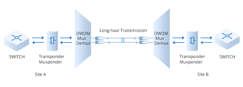 Exploring DWDM Network Topology Applications
