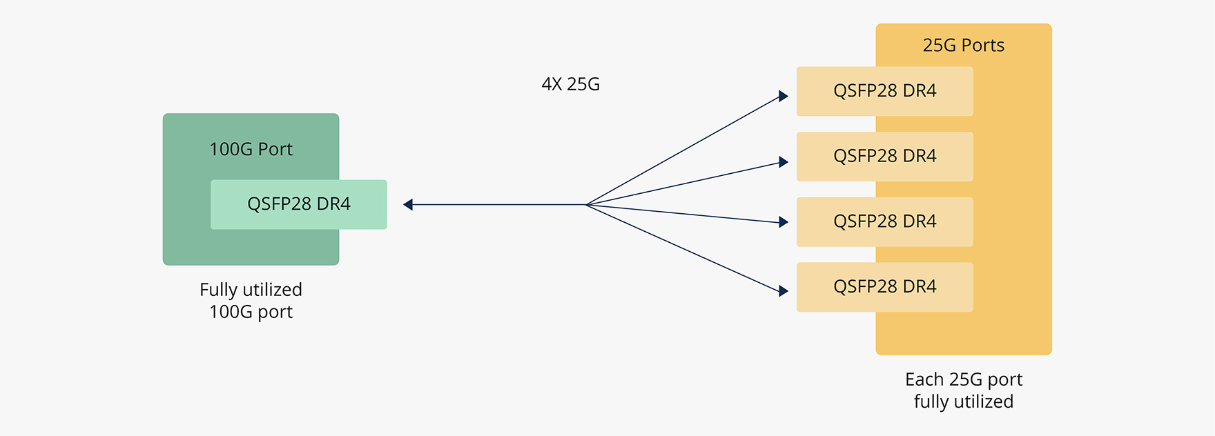 Flexible 100G Networking: Port Breakout on FS N8560-32C Switch
