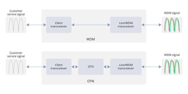 WDM vs. OTN, ¿cuál es su elección?