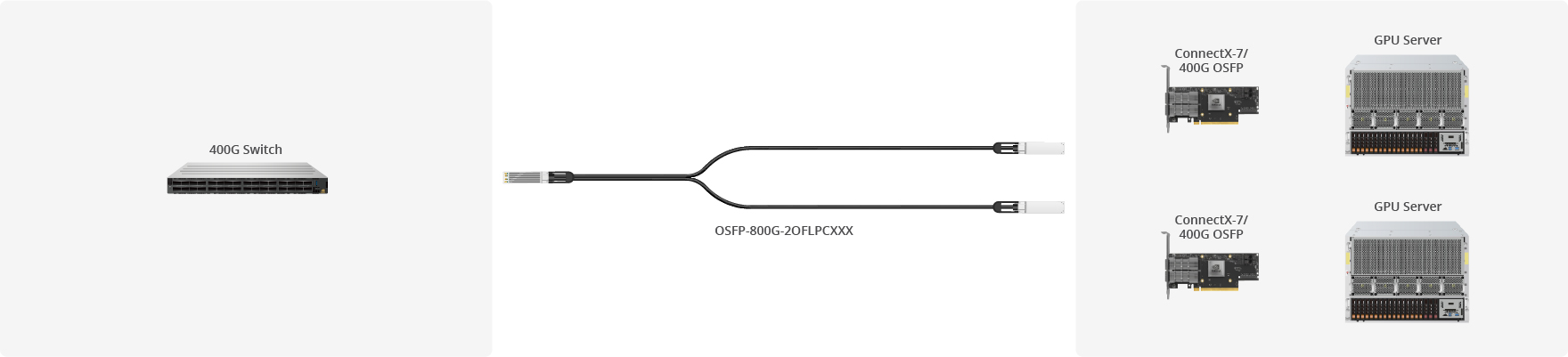 FS 800G Transceivers and Cables Complete Guide