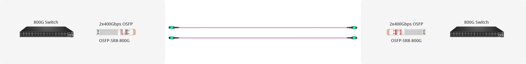 FS 800G Transceivers and Cables Complete Guide